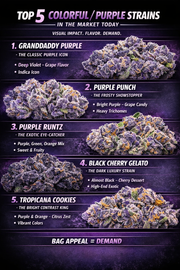 How to Preserve Your Weed and Keep It Fresh Longer – PURI5